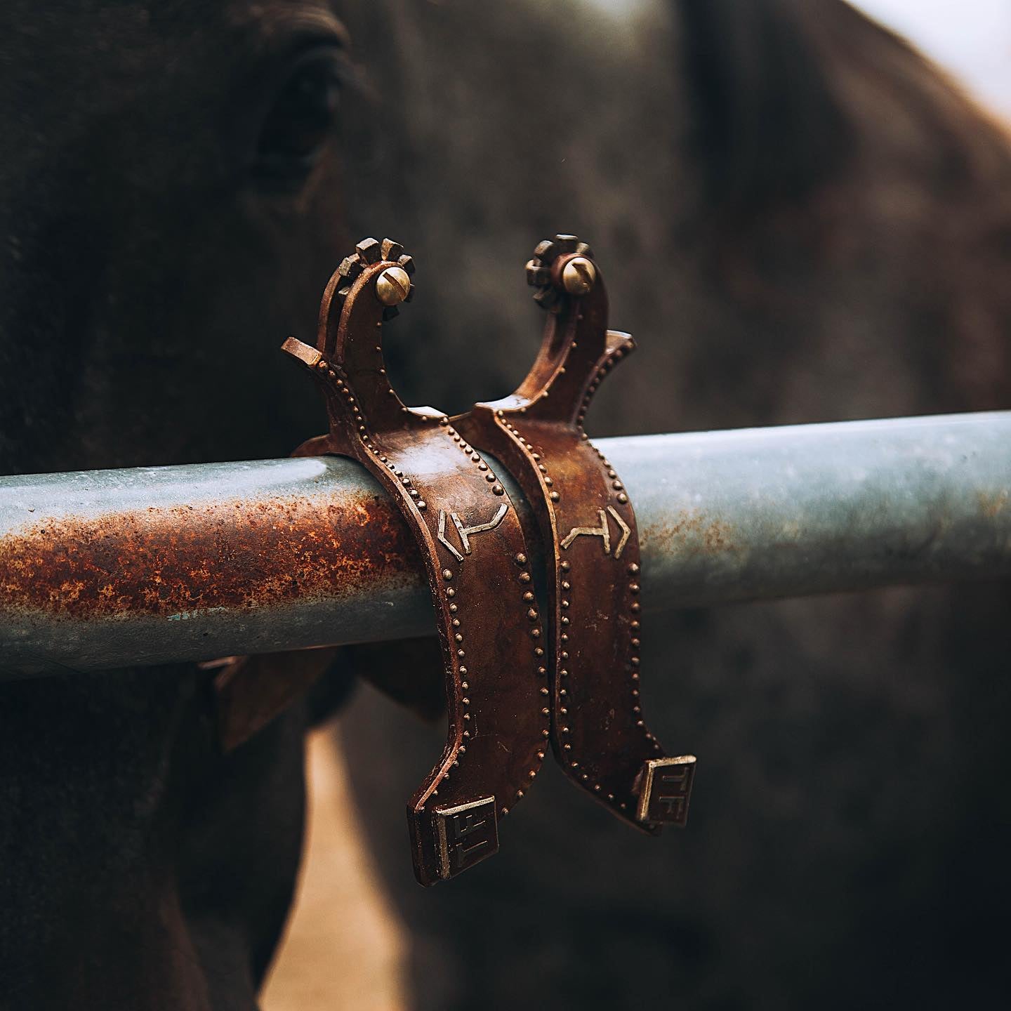 Range Boss Spurs | Carroll Spur Co.