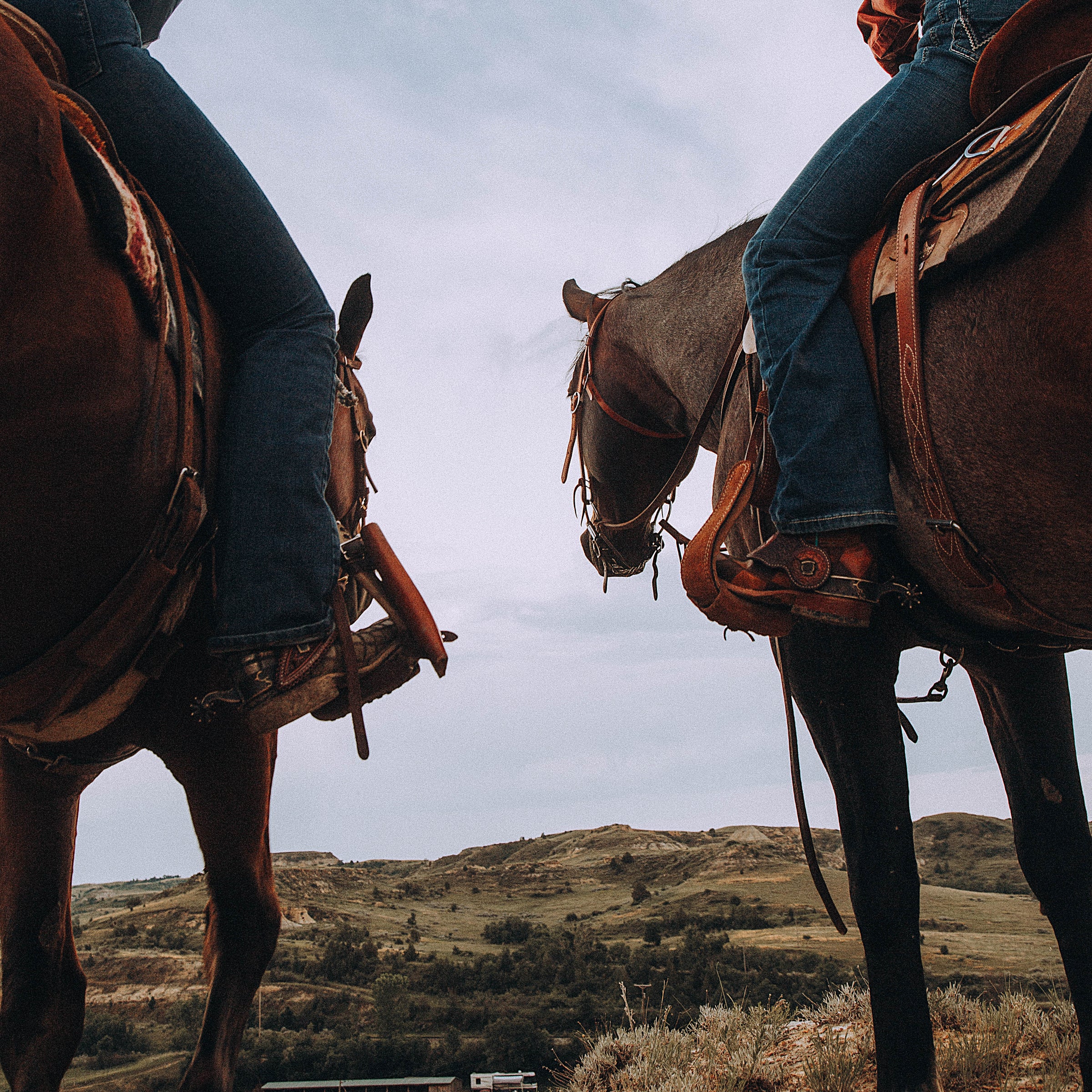 Rough-out Spurs | Carroll Spur Co.
